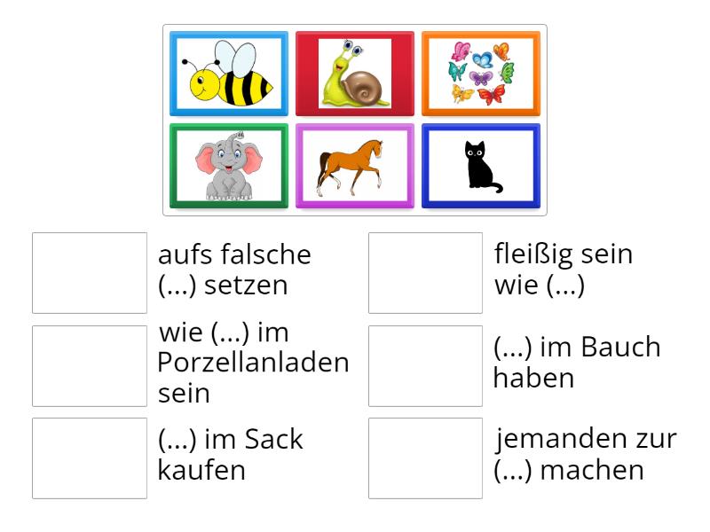 Redewendungen mit Tieren - Match up