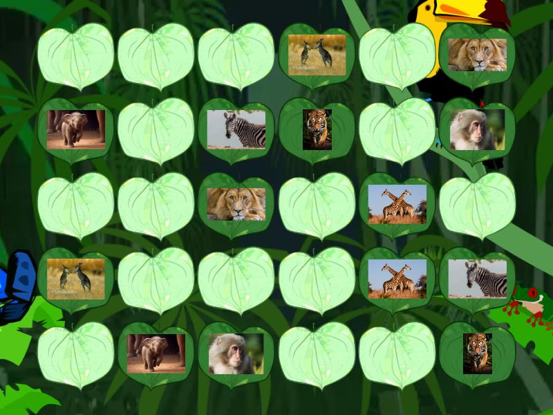 Wild animals - Matching pairs