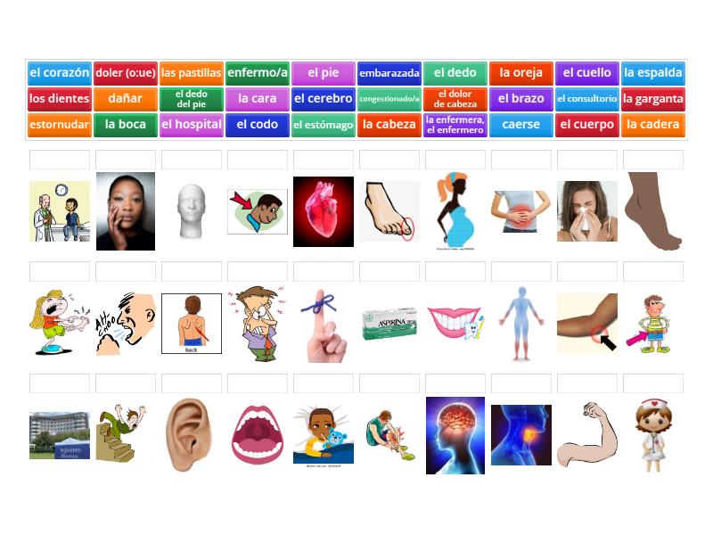 Senderos 2 Leccion 4 Vocabulario "Consultorio" - Match up