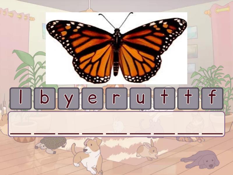 Compound words x15 with pictures - Anagrama