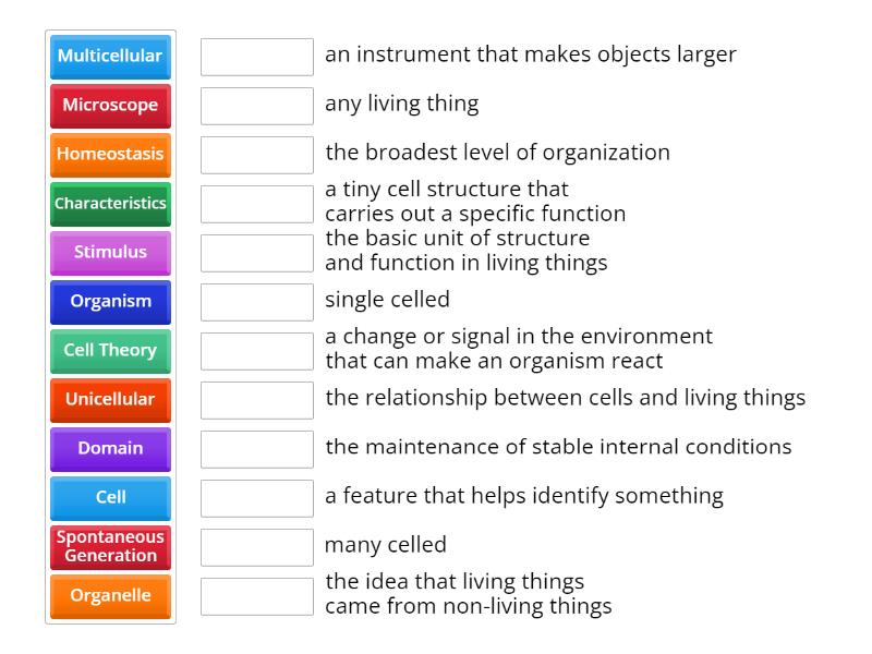 Cell Theory Vocab - Une las parejas