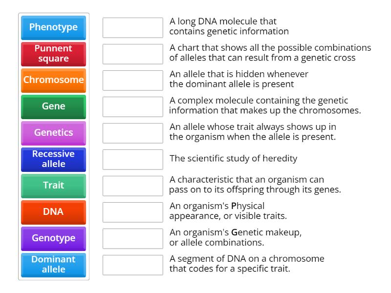 Genetic Terms - Match up