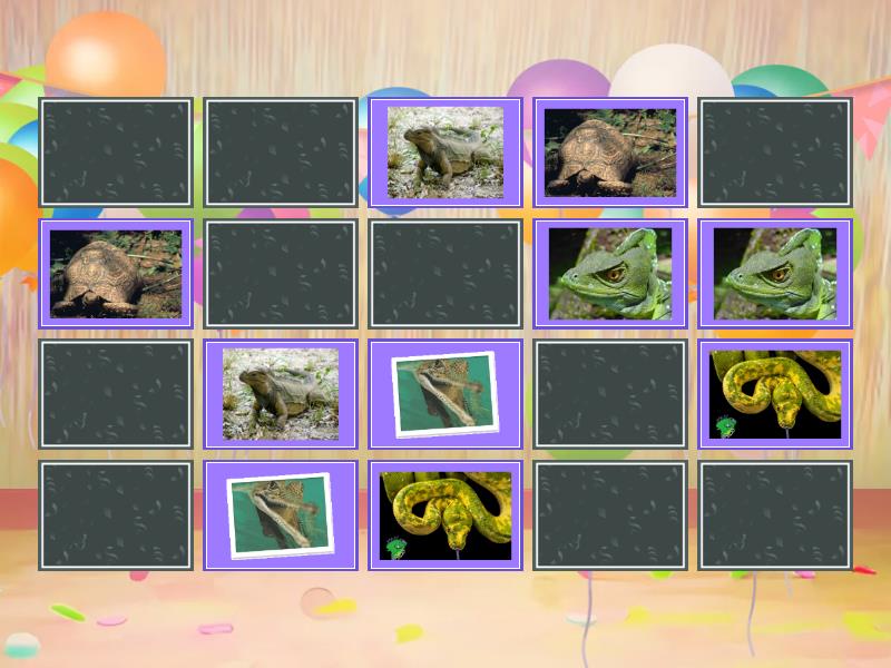 PAREJAS DE REPTILES - Matching pairs