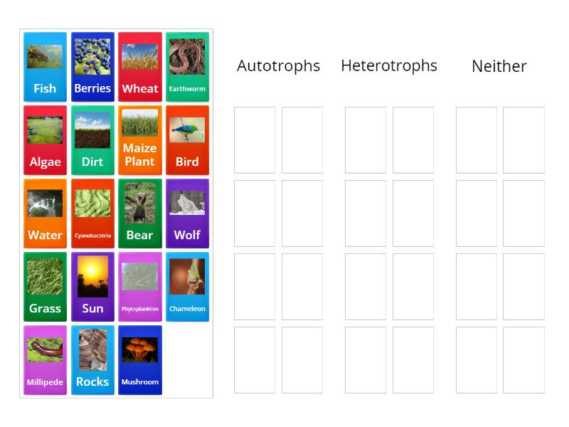 Producer Consumer Sort Group Sort