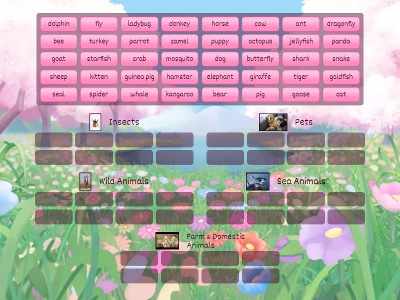 Prepare 4, Unit 12. Animals Warmer - Group sort