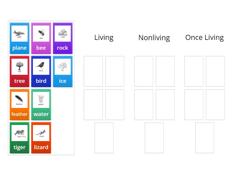 Living, Nonliving, Once Living - Midterm - Group sort