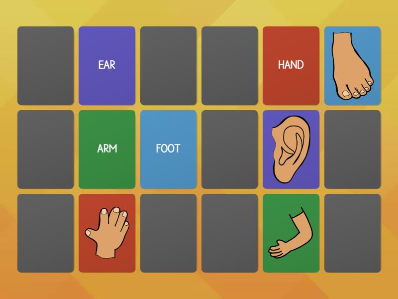 BODY PARTS - MEMORY GAME - Matching pairs