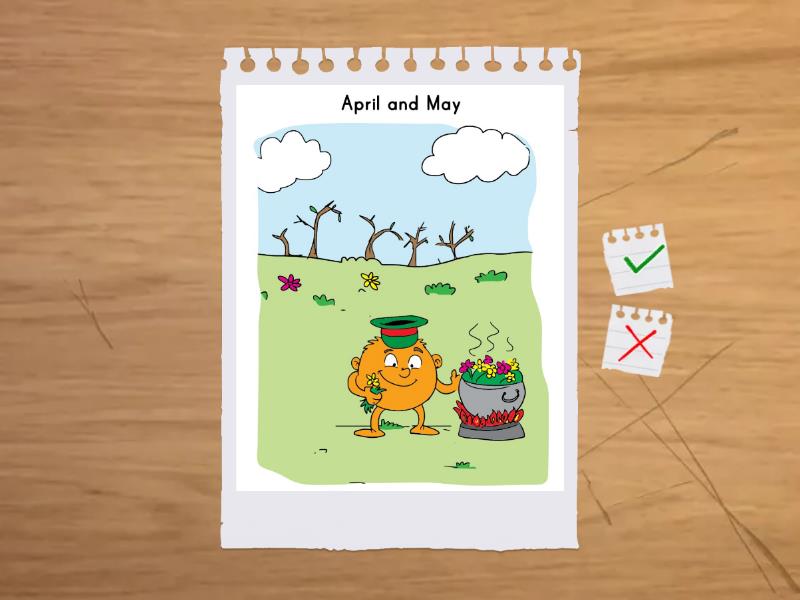 Silly Willy words - Flash cards