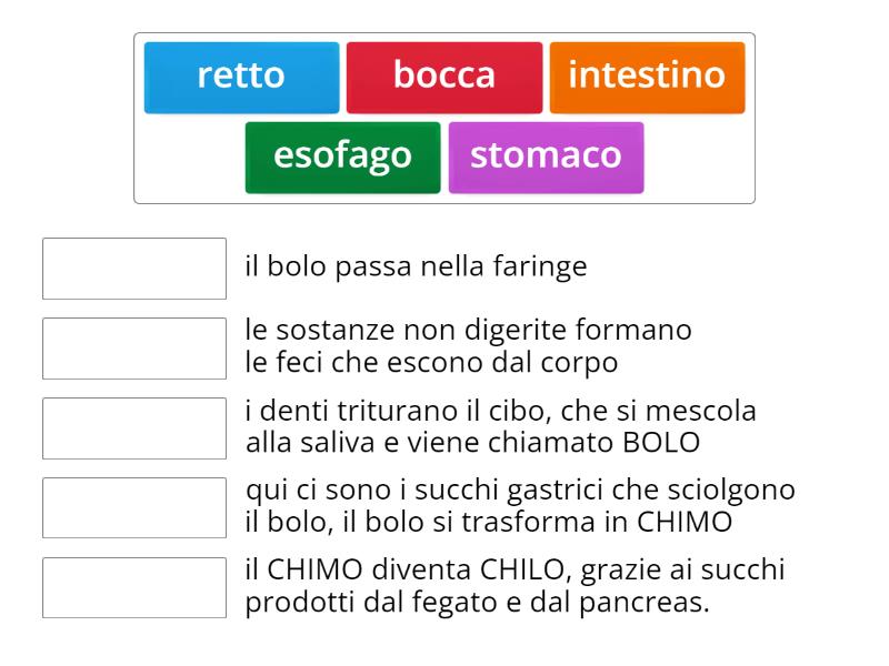 IL VIAGGIO DEL CIBO - Match up
