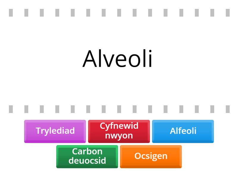 Cyfnewid Nwyon | Gaseous Exchange - Find the match
