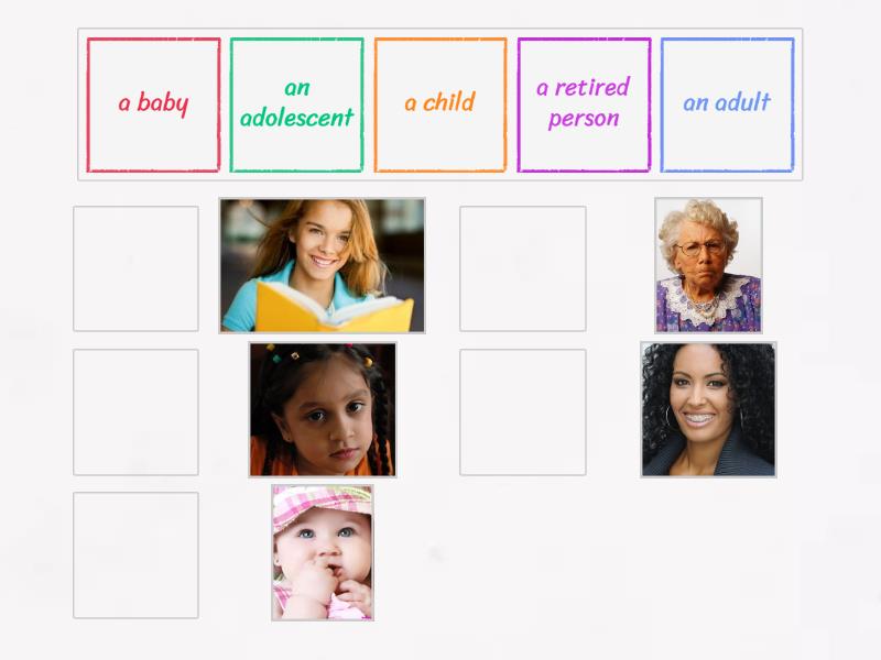 Life cycles - Match up