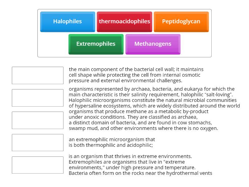 grade 8 biology - Une las parejas