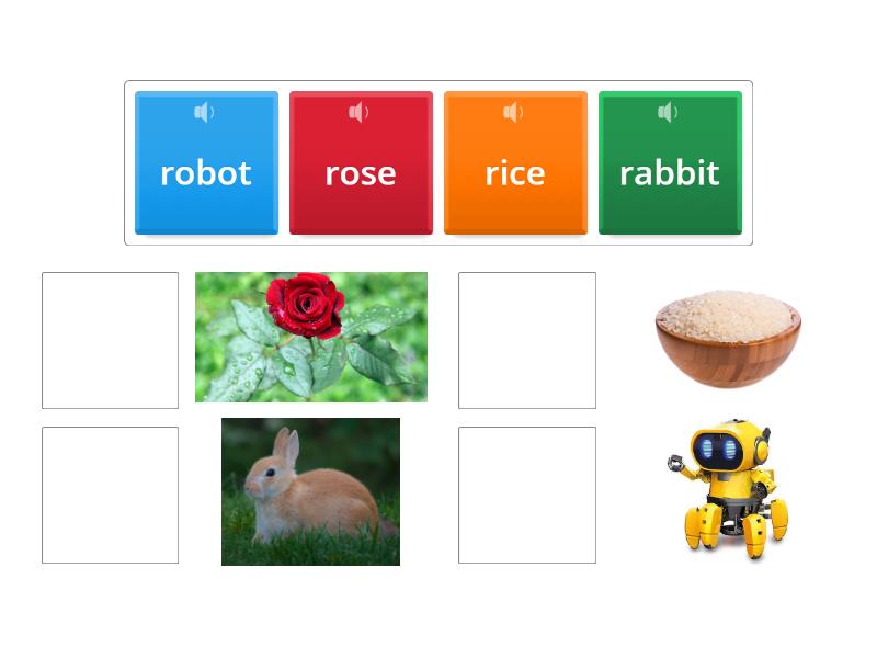 Letter Rr - Match up
