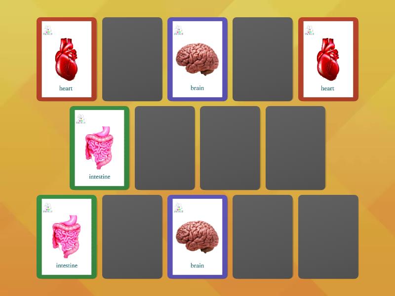 Organs matching - Matching pairs