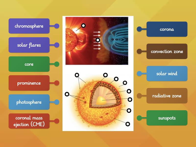 Identification of Sun's Structure - Diagrama con etiquetas