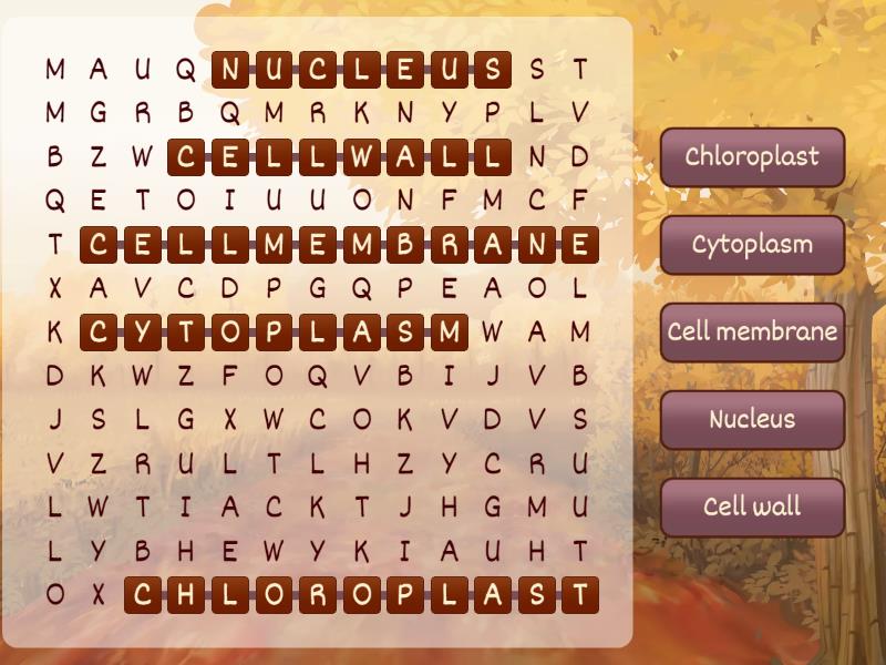 Cell _ESL Grade 6 - Wordsearch