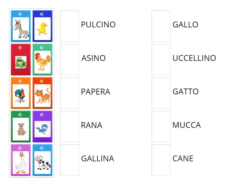 GLI ANIMALI - Match up