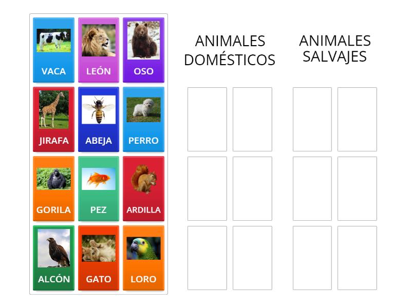ANIMALES: DOMÉSTICOS VS. SALVAJES - Group sort