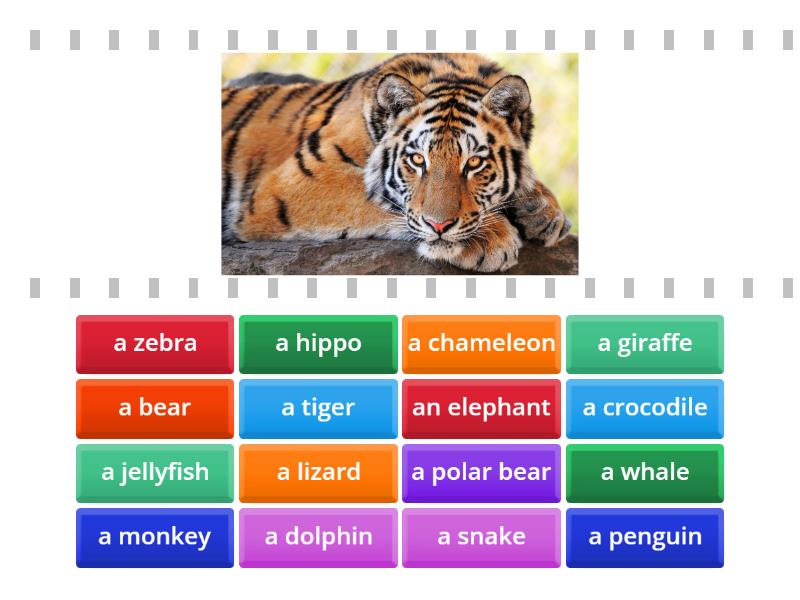 Power up 1 Unit 6 Wild animals - Find the match