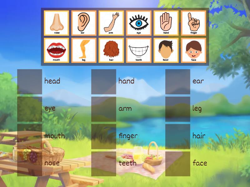 Body parts match - Match up