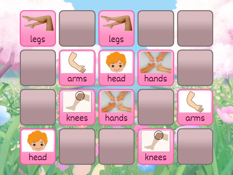 Body parts - Matching pairs