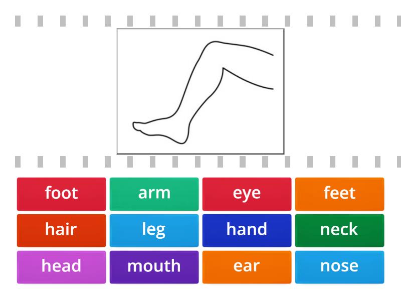 Parts of the body - ESOL Pre-Entry - ET - AB copy - Find the match