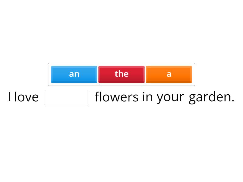 Jordan F9 Calss 1- articles in sentences - Complete the sentence