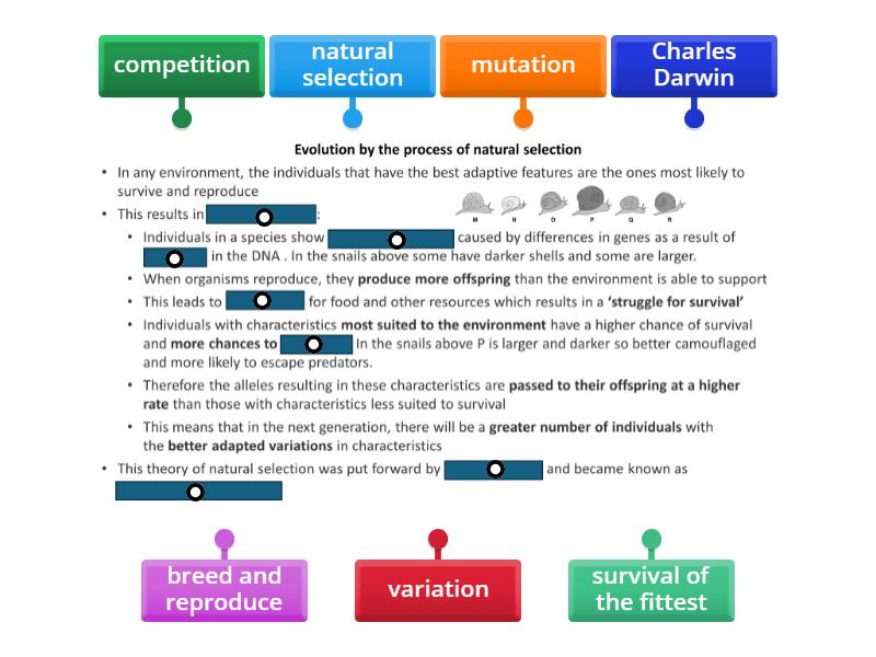 Evolution by natural selection - Charles Darwin - Labelled diagram