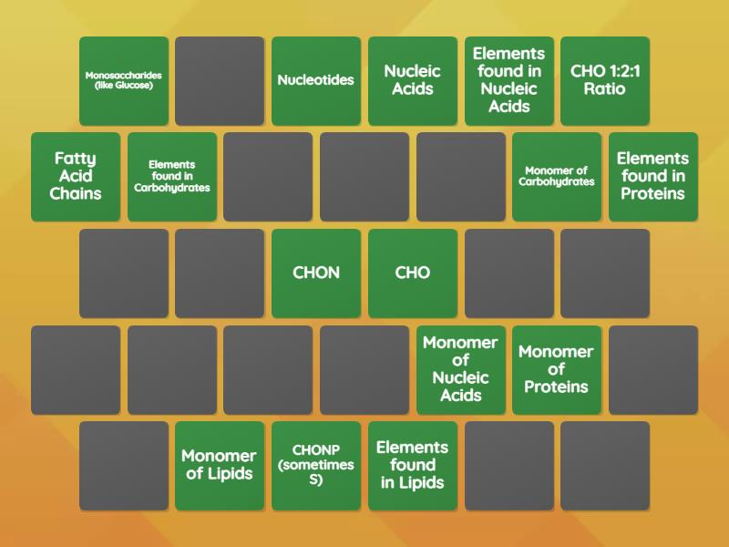 Macromolecules-Quiz - Matching pairs