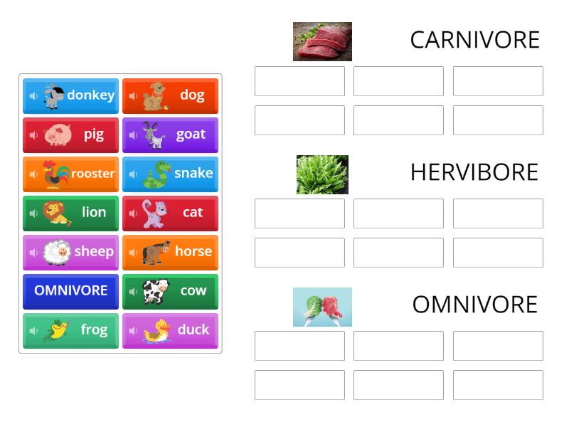 CARNIVORE, HERBIVORE OR OMNIVORE? - Group sort