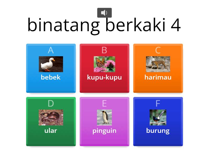 kegiatan pembelajaran paud - Quiz