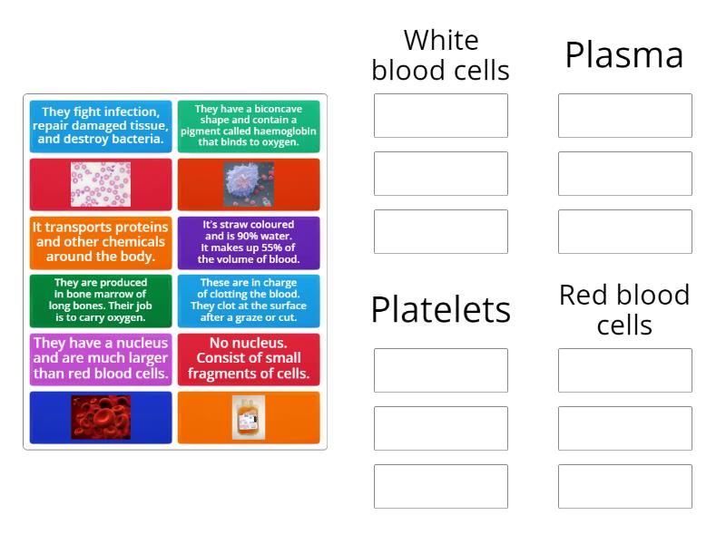 The blood - Group sort