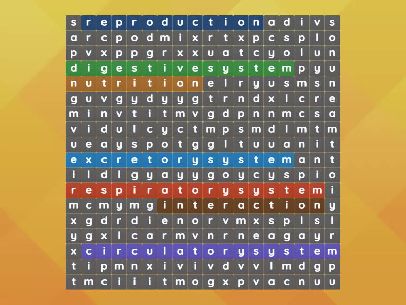 4 Systems - Sopa de letras