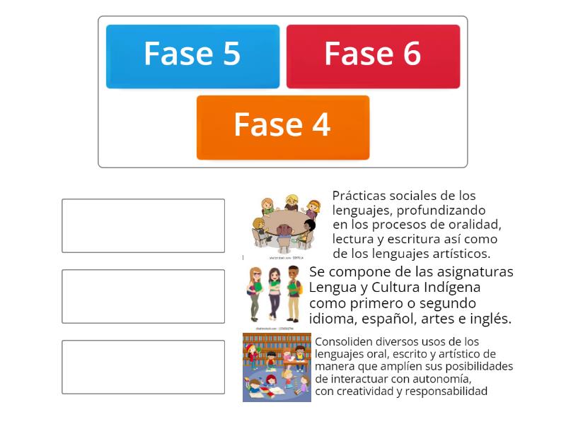 Fases 4, 5 y 6 - Match up