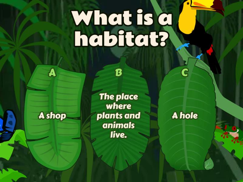 Habitats - Quiz