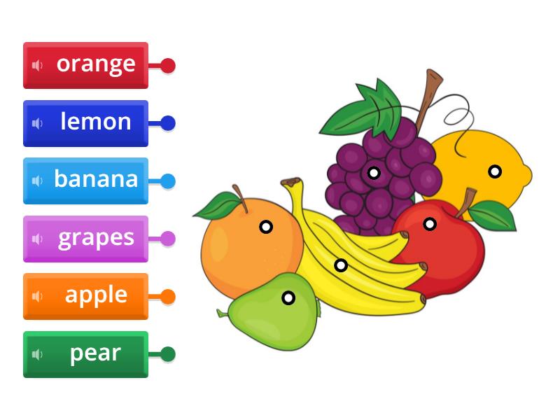 Fruit - Labelled diagram