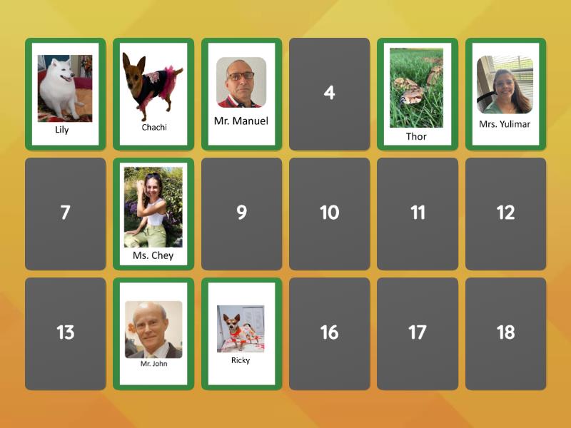 Pets Memory Game - Matching pairs