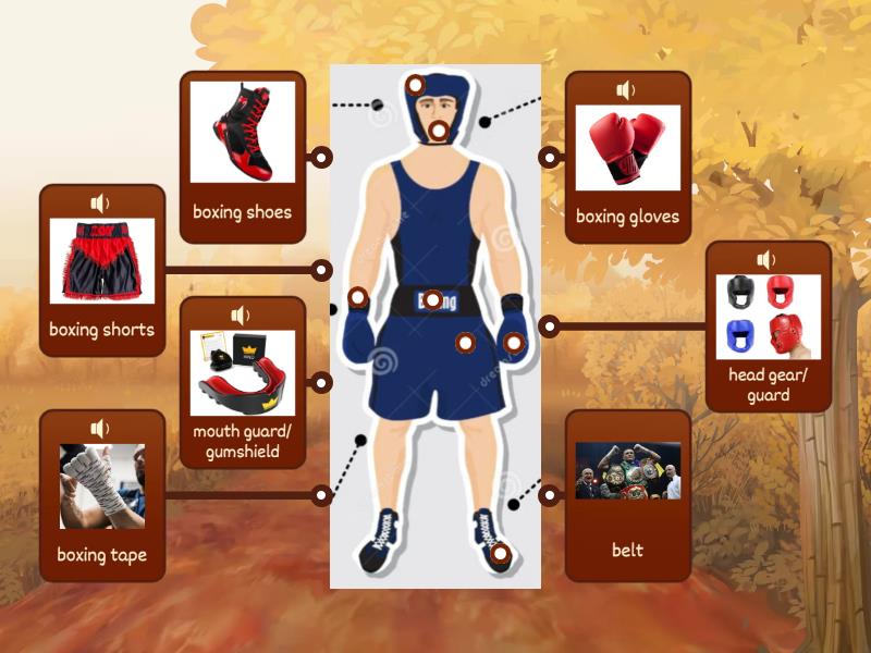 Boxing vocab - Labelled diagram