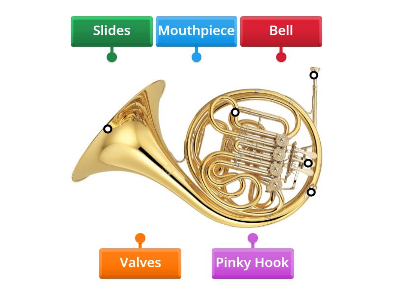 Parts of the Instrument (French Horn) - Labelled diagram