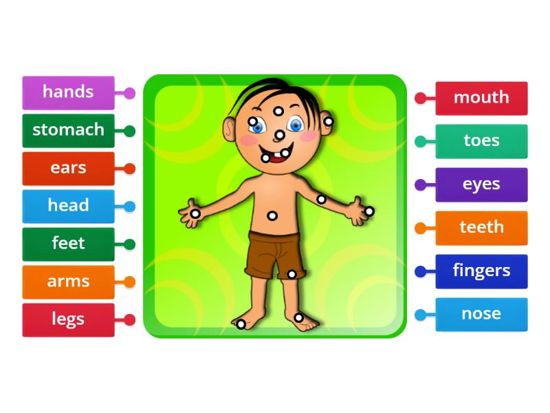 LG4 Unit 8 Body Parts Review - Diagrama con etiquetas