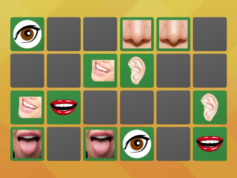 My Body Matching Game - Matching pairs