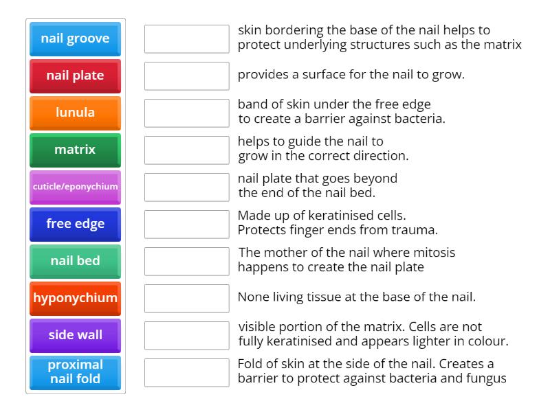 Nail structure descriptions - Match up