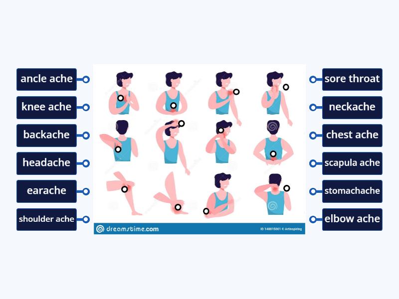 Parts of the body. Ache. - Labelled diagram