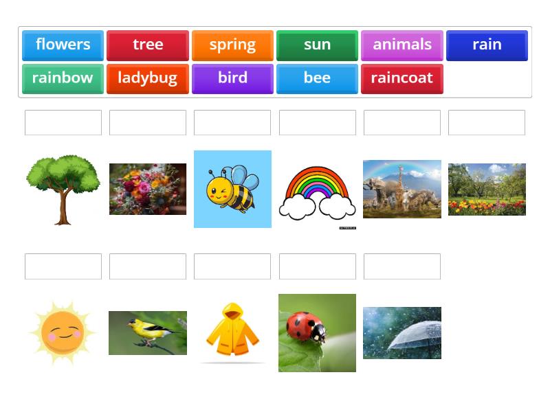Spring vocabulary A1 - Match up