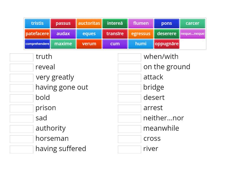 CLC Stage 24 Vocabulary - Match up
