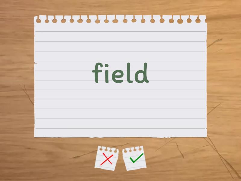 Year 5: Different Places Flashcards - Flash cards