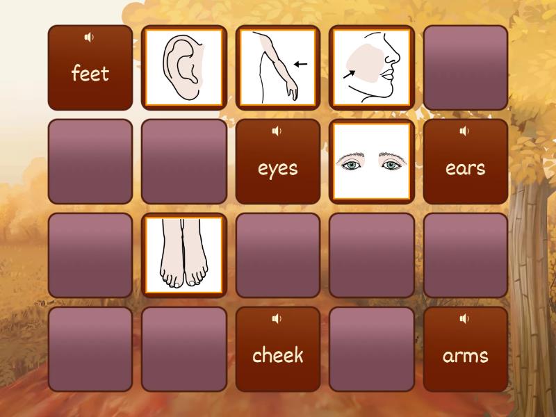 Parts of the body (memory) - Combine os pares