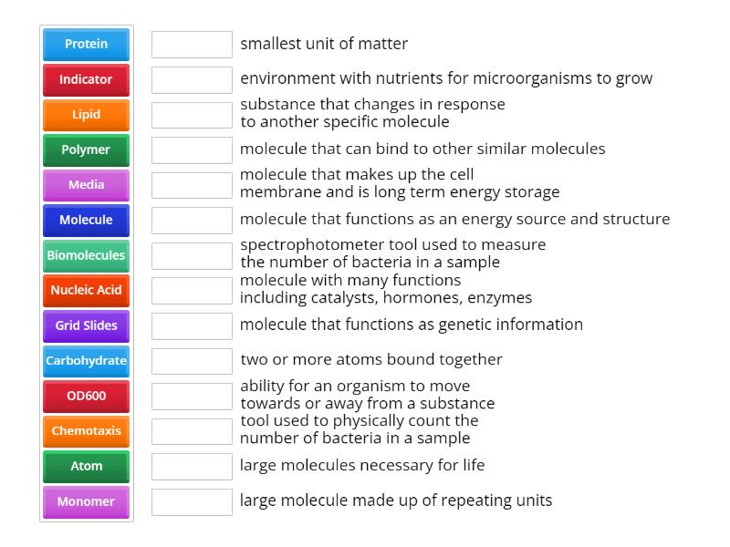 Unit 2 Microbiology Vocabulary - Match up