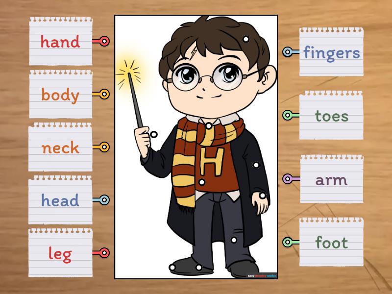 Harry body parts - Labelled diagram