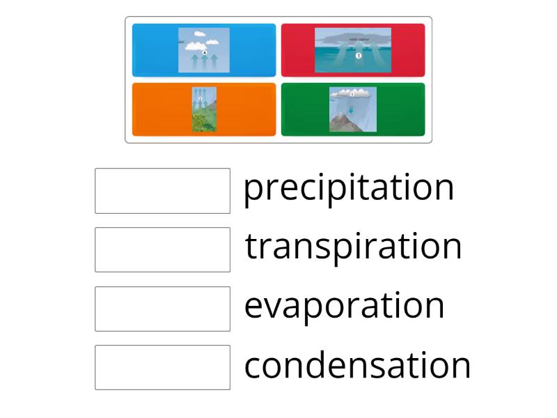 Water cycle - Match up